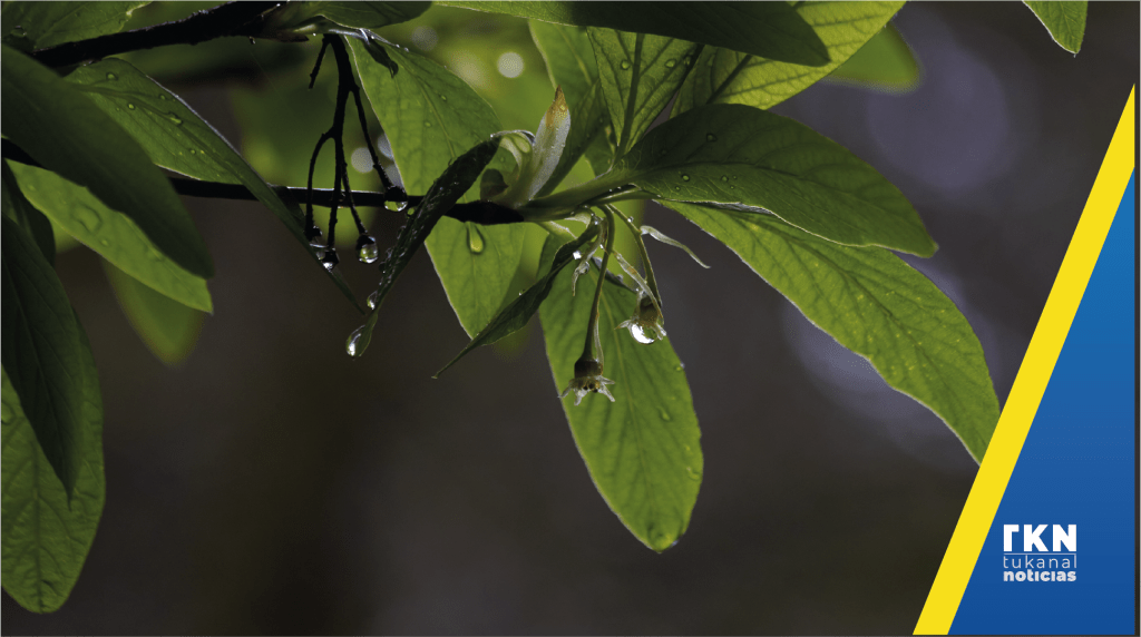 Ministra Muhamad analiza pronósticos ambientales de abril. - Tu Kanal ...